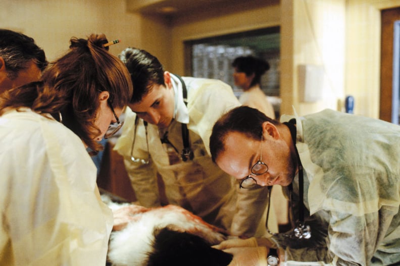 Top TV Shows From Summer 2000 | POPSUGAR Entertainment