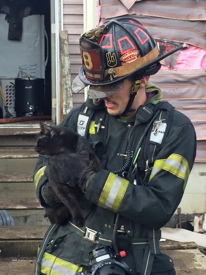 Firefighters Rescue Cats From House Fire | POPSUGAR Pets