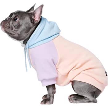 Best Matching Dog and Human Sweaters | PS Pets