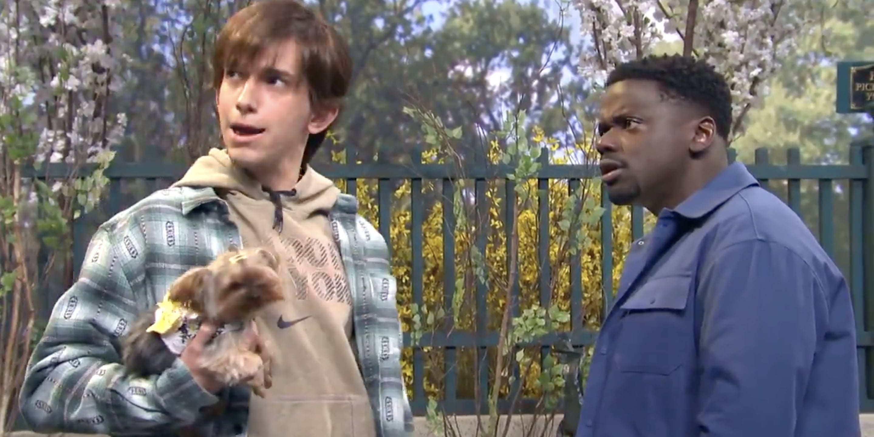 Watch Daniel Kaluuya's SNL Dog Park Sketch | Video | PS Entertainment