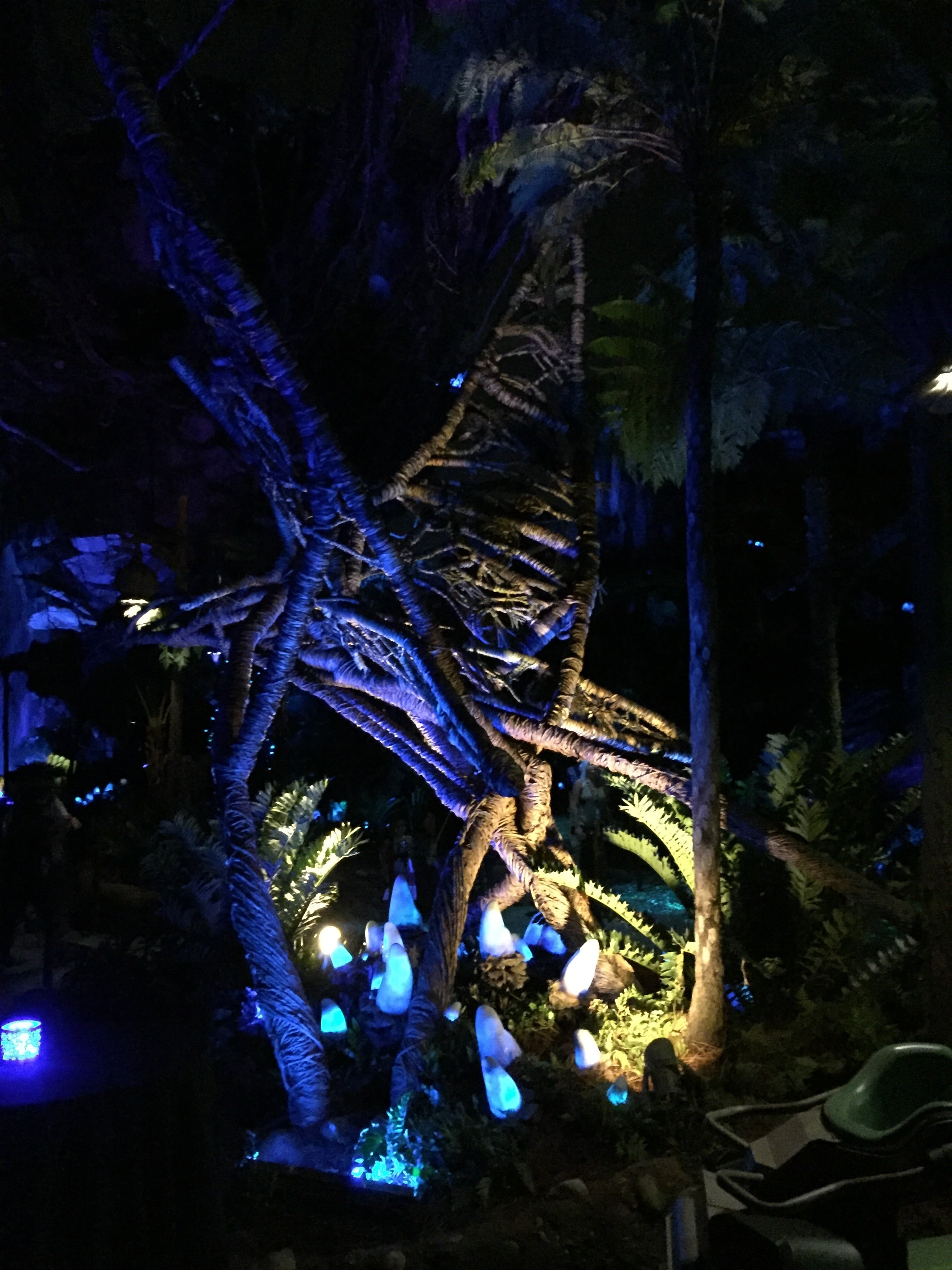 avatar forest night