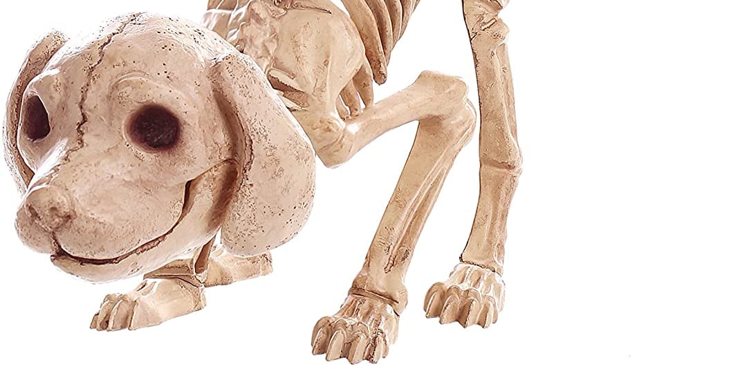 Dog-Skeleton Halloween Decor | PS Home