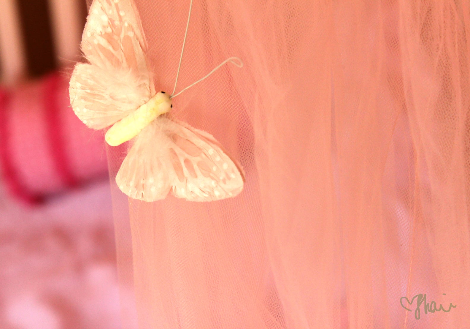 Pink Princess Butterfly Room For Girls | PS Family