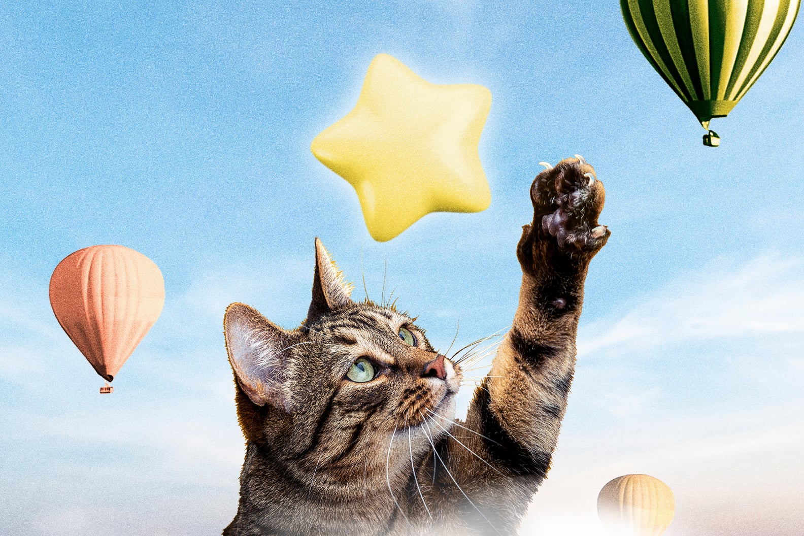 Friskies Launches a New Board Game For Cat Lovers | PS Smart Living