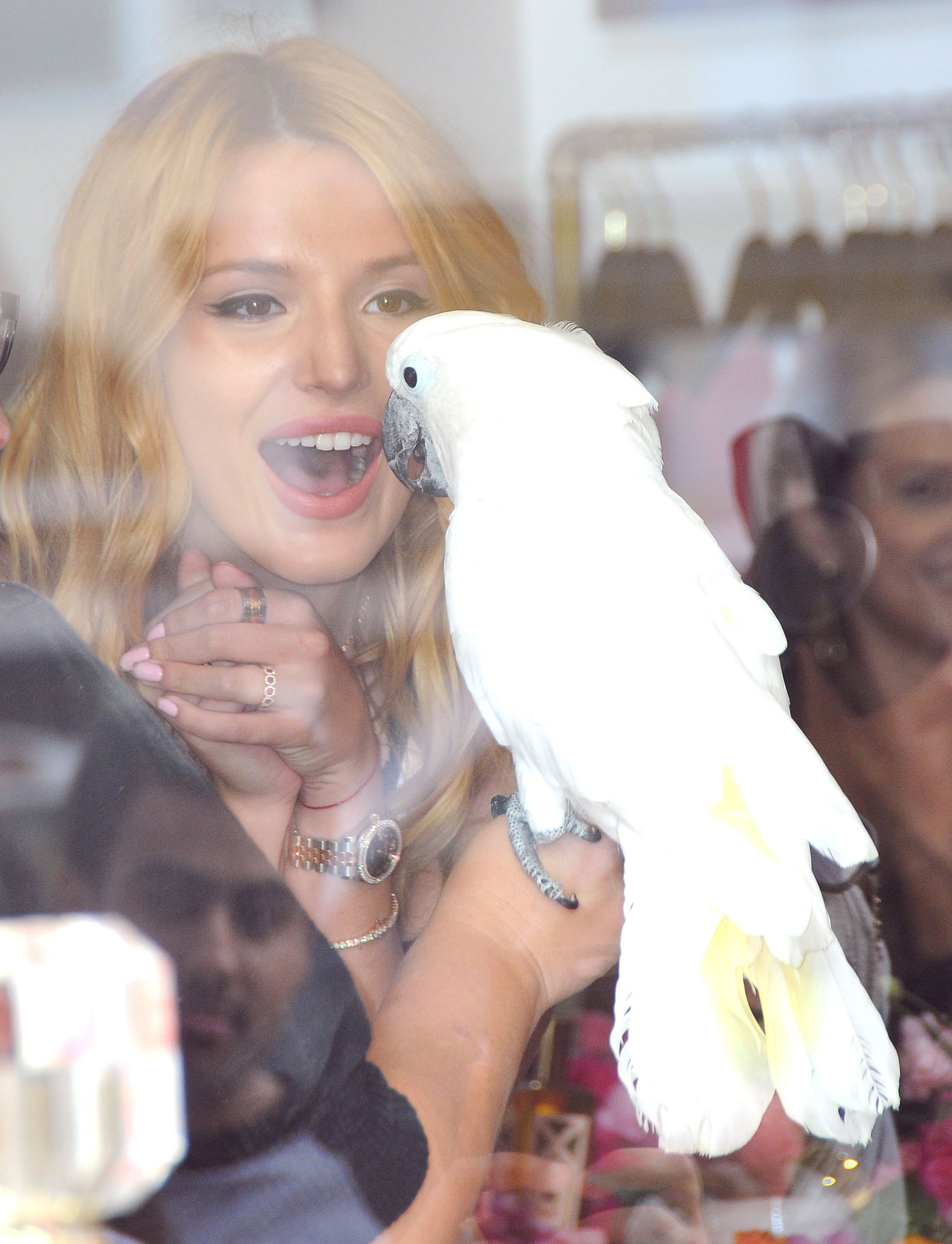 Bella Thorne Funny Bird Pictures | PS Latina