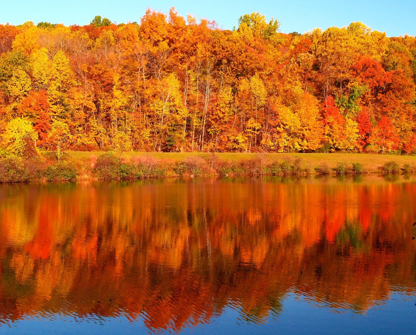 Best US Towns to Visit During Fall | PS Smart Living