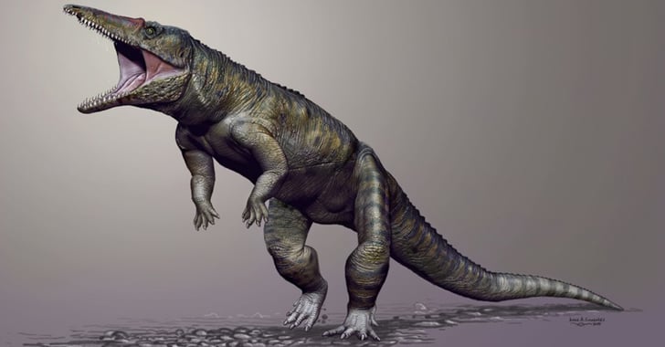 Carolina Butcher Crocodile From Triassic Period | POPSUGAR Tech