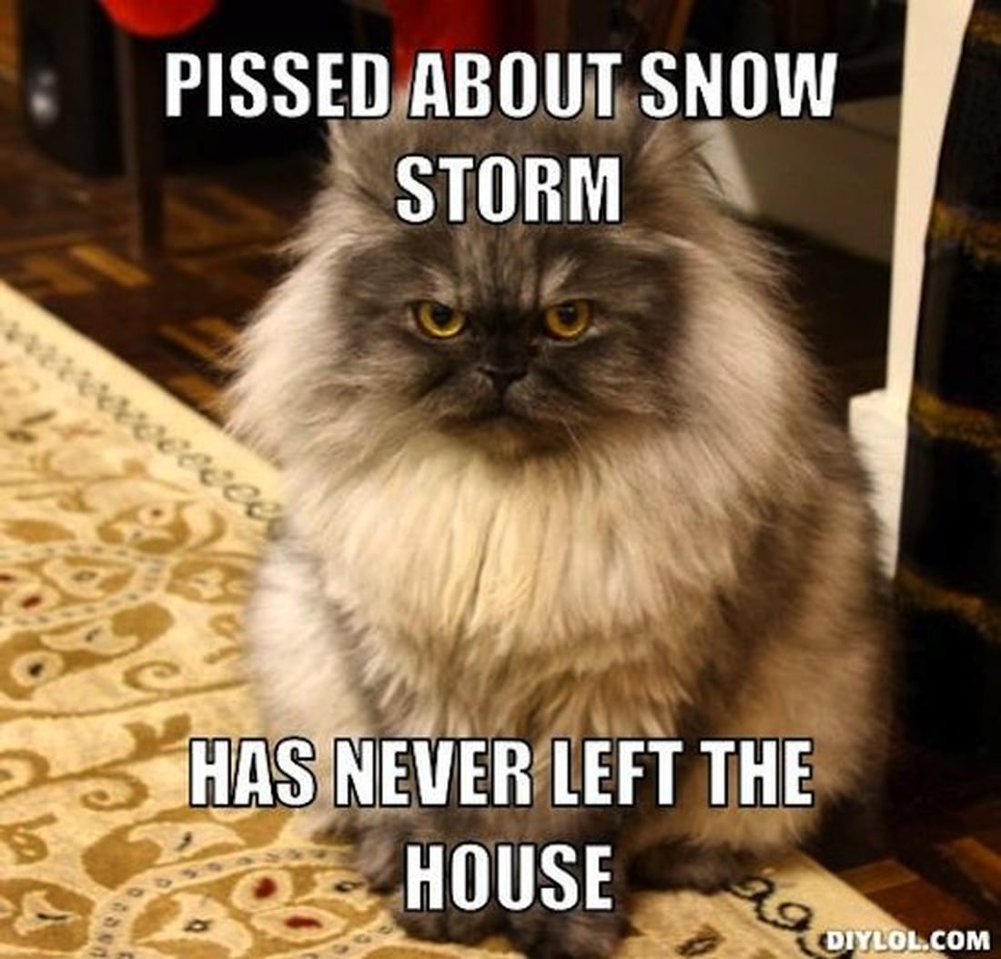 Blizzard Memes | POPSUGAR Tech