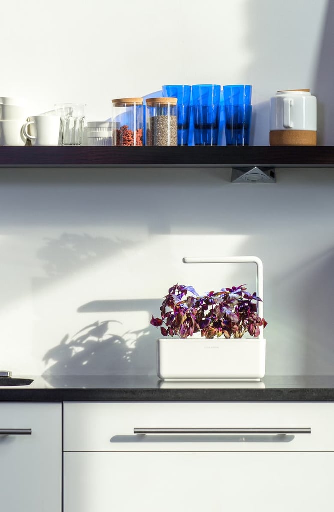 Best Useful Christmas Gifts 2022 | POPSUGAR Smart Living