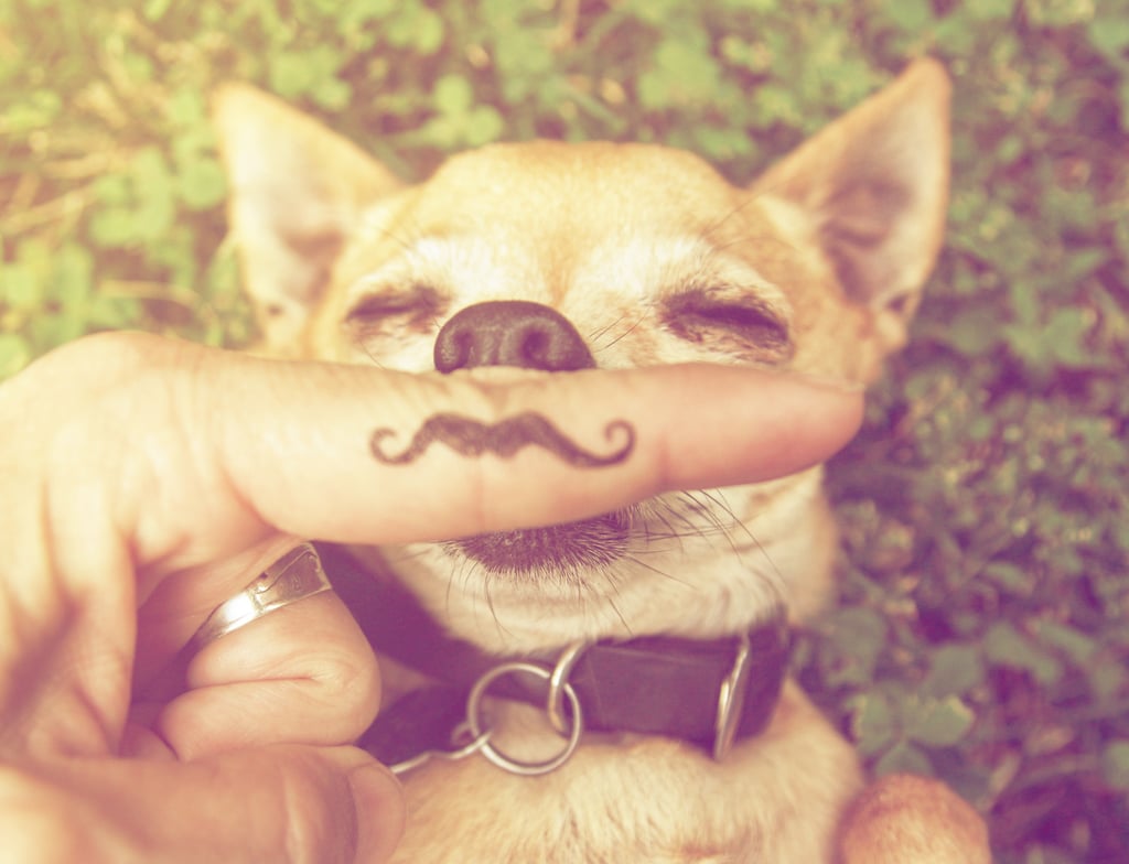 Happy GIFs | POPSUGAR Smart Living