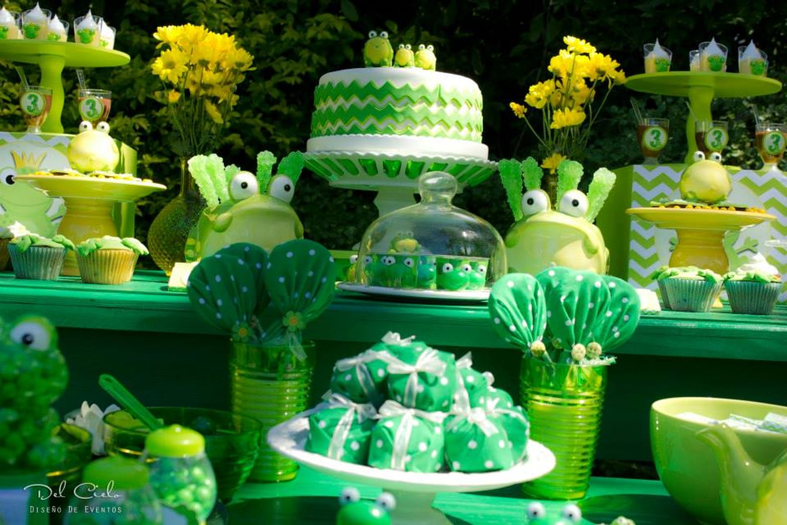 Frog Leap Day Birthday Party | PS Family