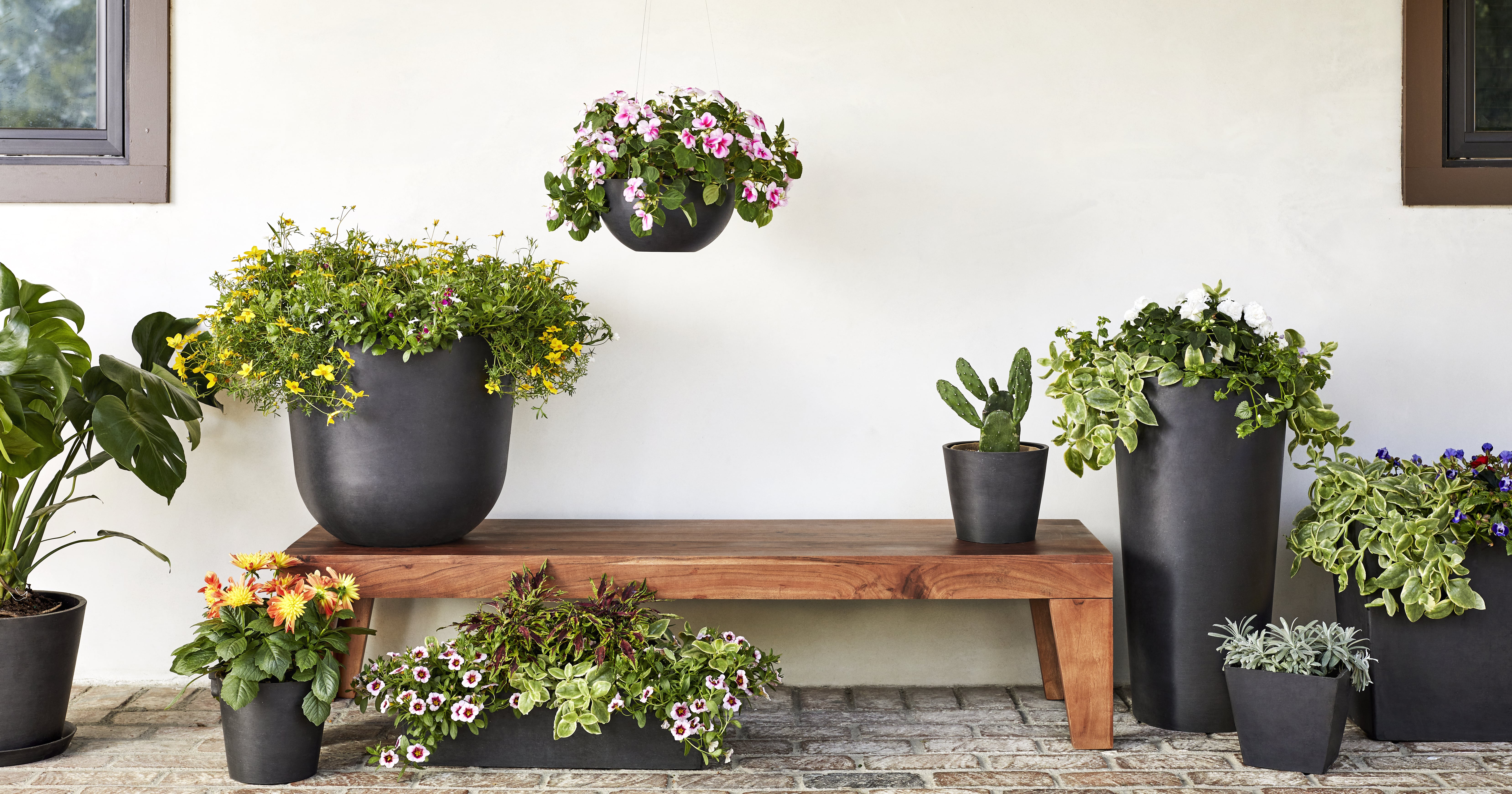 Bloomscape Outdoor Plant Launch | PS Home