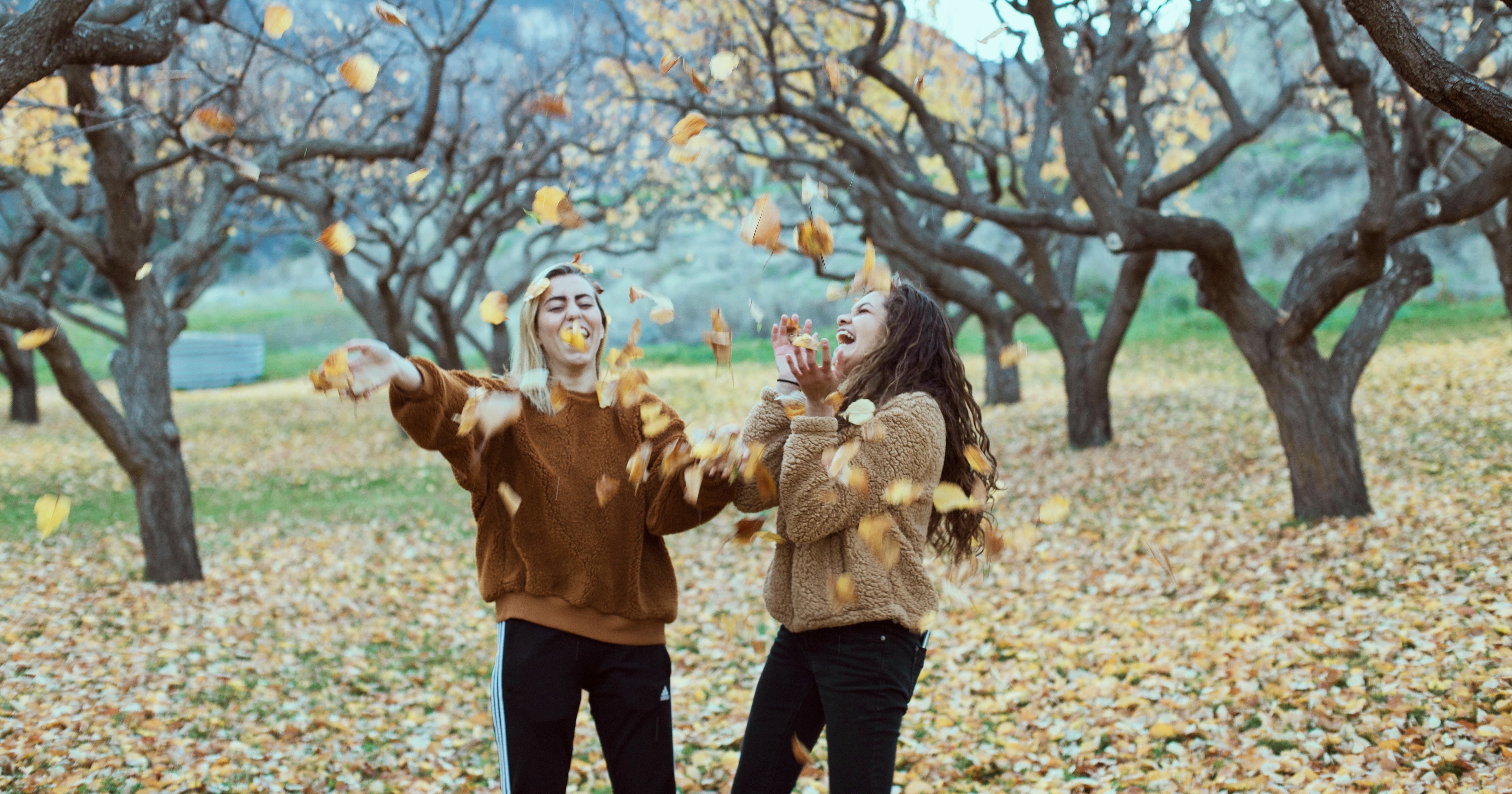 Best Fall Activities For Zodiac Signs | PS Smart Living