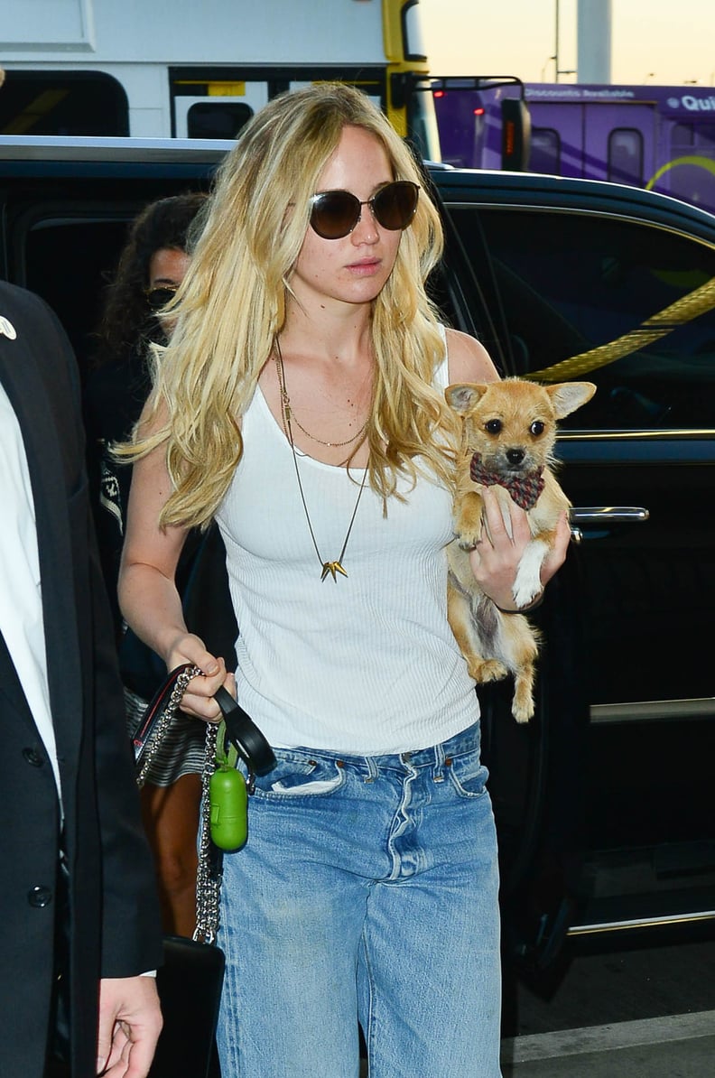 Jennifer Lawrence With Her Dog | Pictures | PS Celebrity