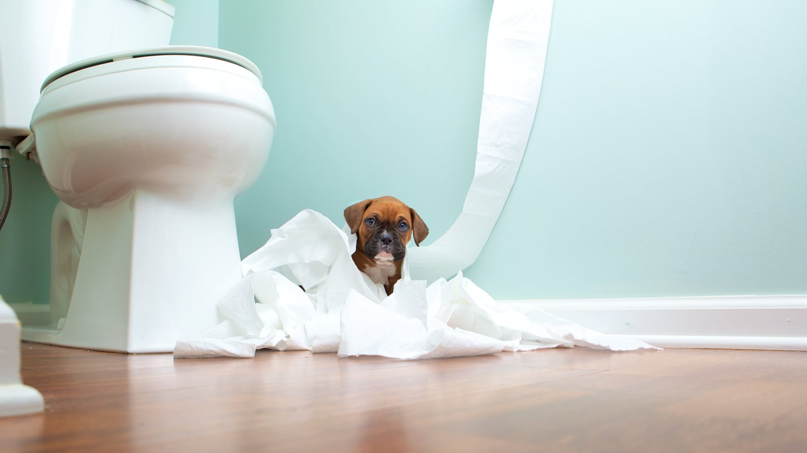 Pictures That Would Make Clean Freaks Cringe | PS Smart Living