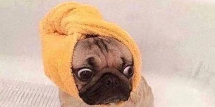 53 Funny Beauty Memes | POPSUGAR Beauty
