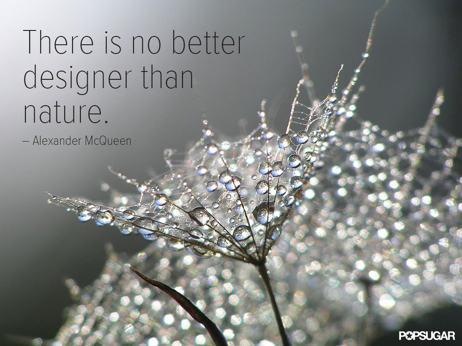 Fashion Quotes | Pinterest | PS Fashion