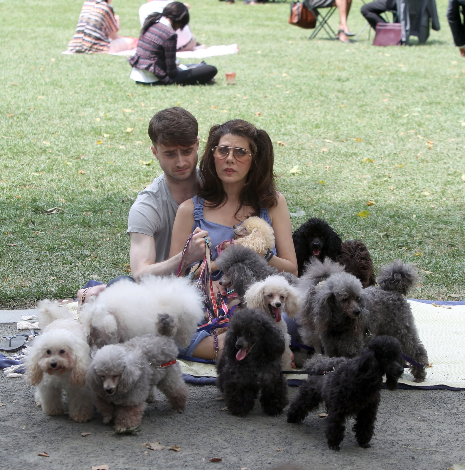 Daniel Radcliffe With Dogs on the Set of Trainwreck | PS Celebrity