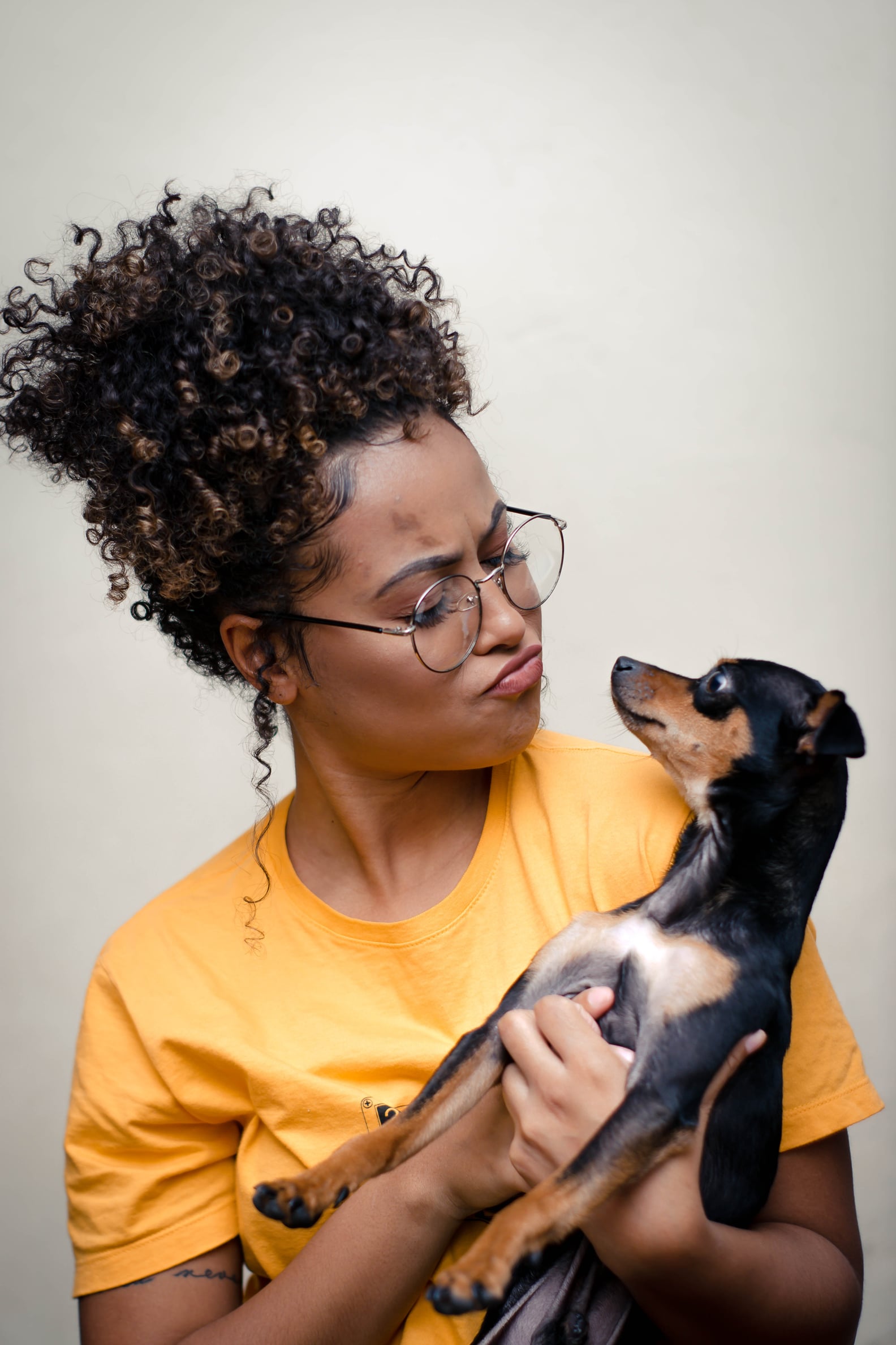 How Do Dogs Communicate? | PS Pets