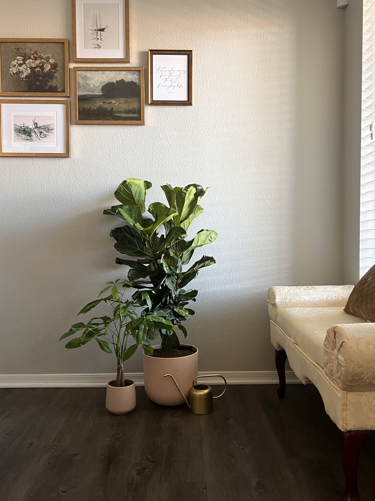 Easyplant Self-Watering Plants Review With Photos | PS Home