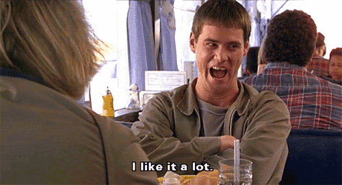 Dumb and Dumber GIFs | PS Entertainment