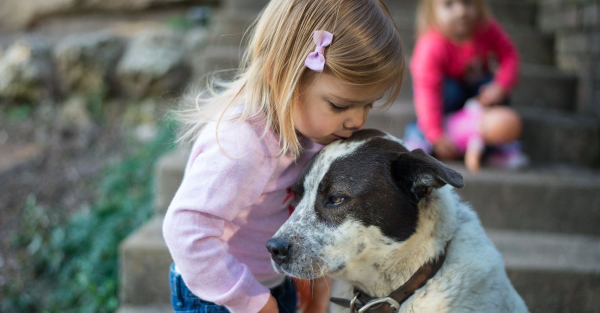 Comparing Pets to Children | POPSUGAR Family