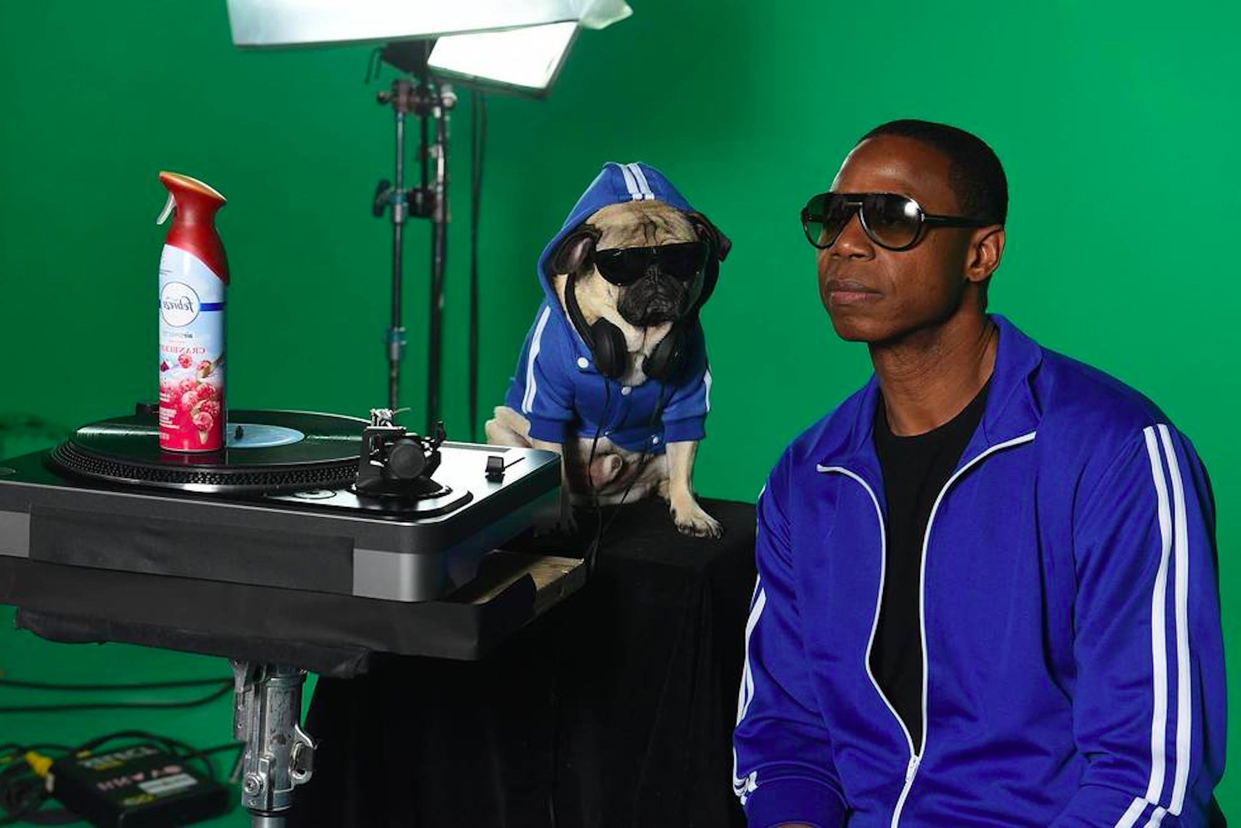 Doug the Pug Febreze Commercial | PS Pets