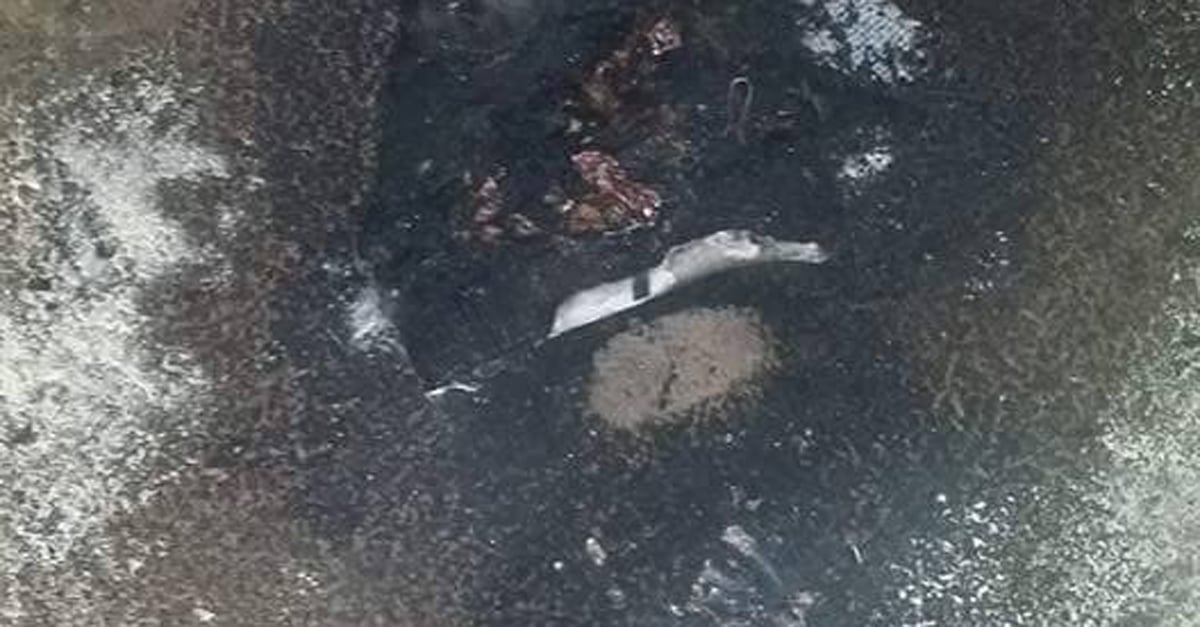 Hoverboard Catches on Fire While Charging and Explodes | PS Family