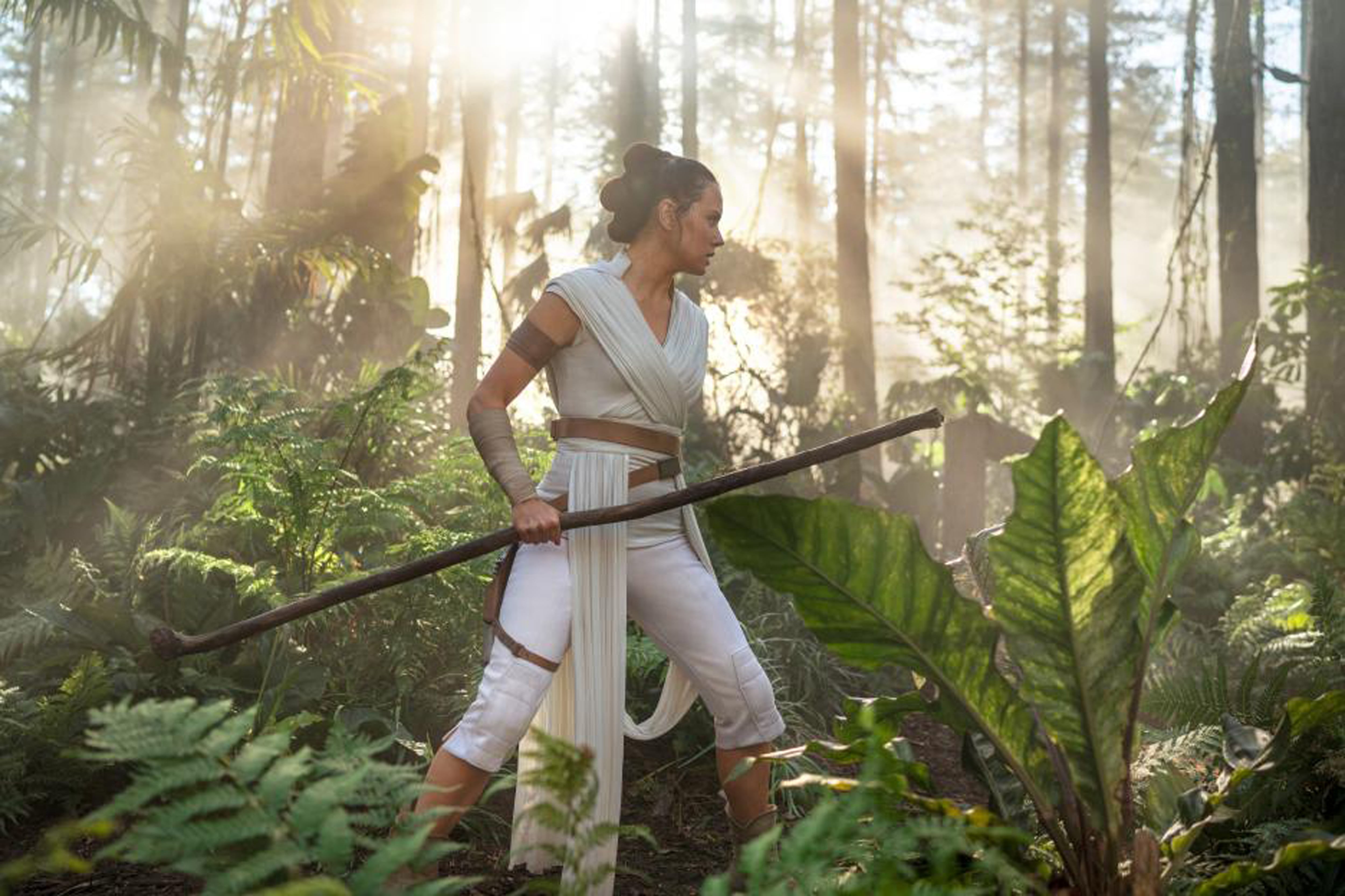 How Much Did Rise of Sky Walker Make at the Box Office? | POPSUGAR ...