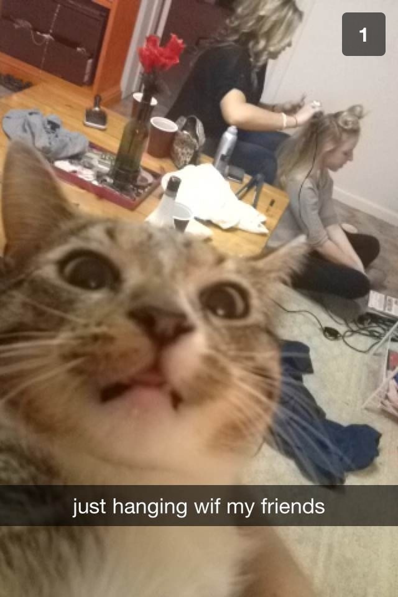 Funny Snapchats Popsugar Tech