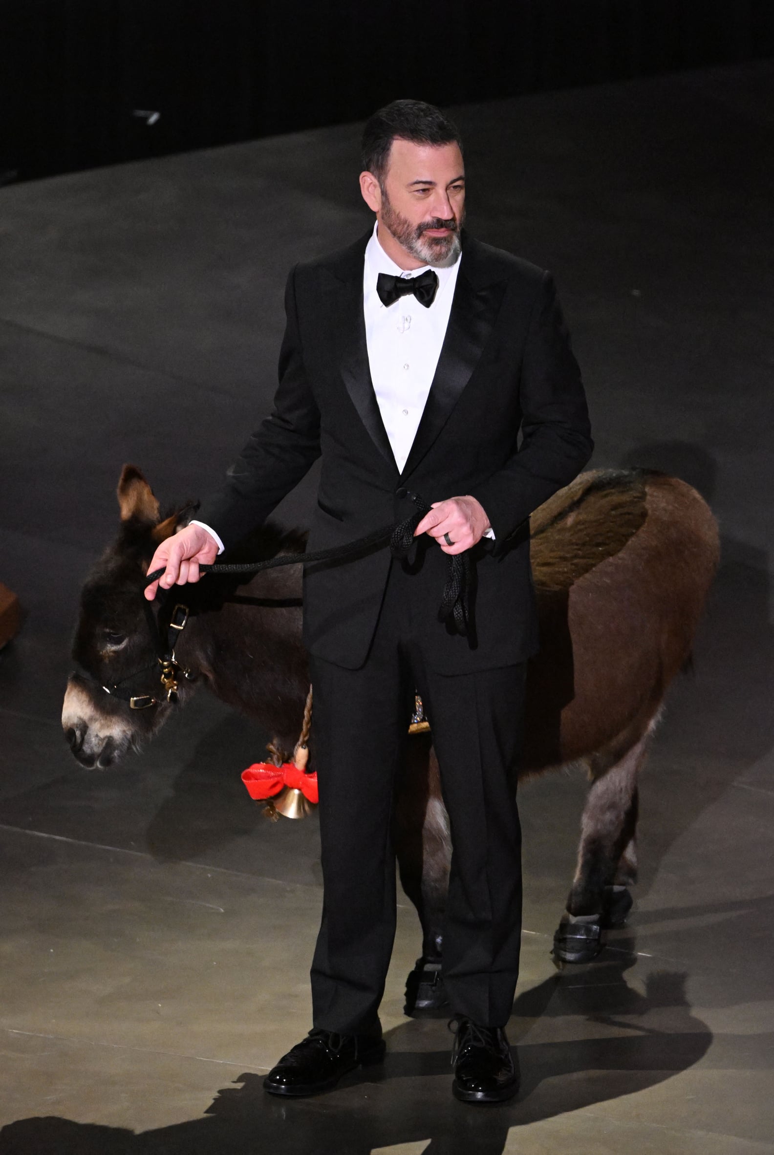 The Banshees of Inisherin Donkey Jenny Was Not at the Oscars | PS ...