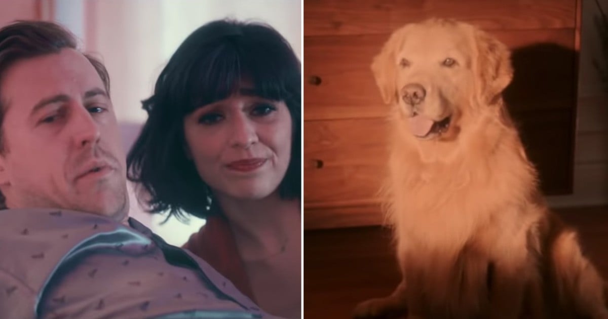 SNL "Pound Puppy" Commercial Video February 2019 | PS Entertainment