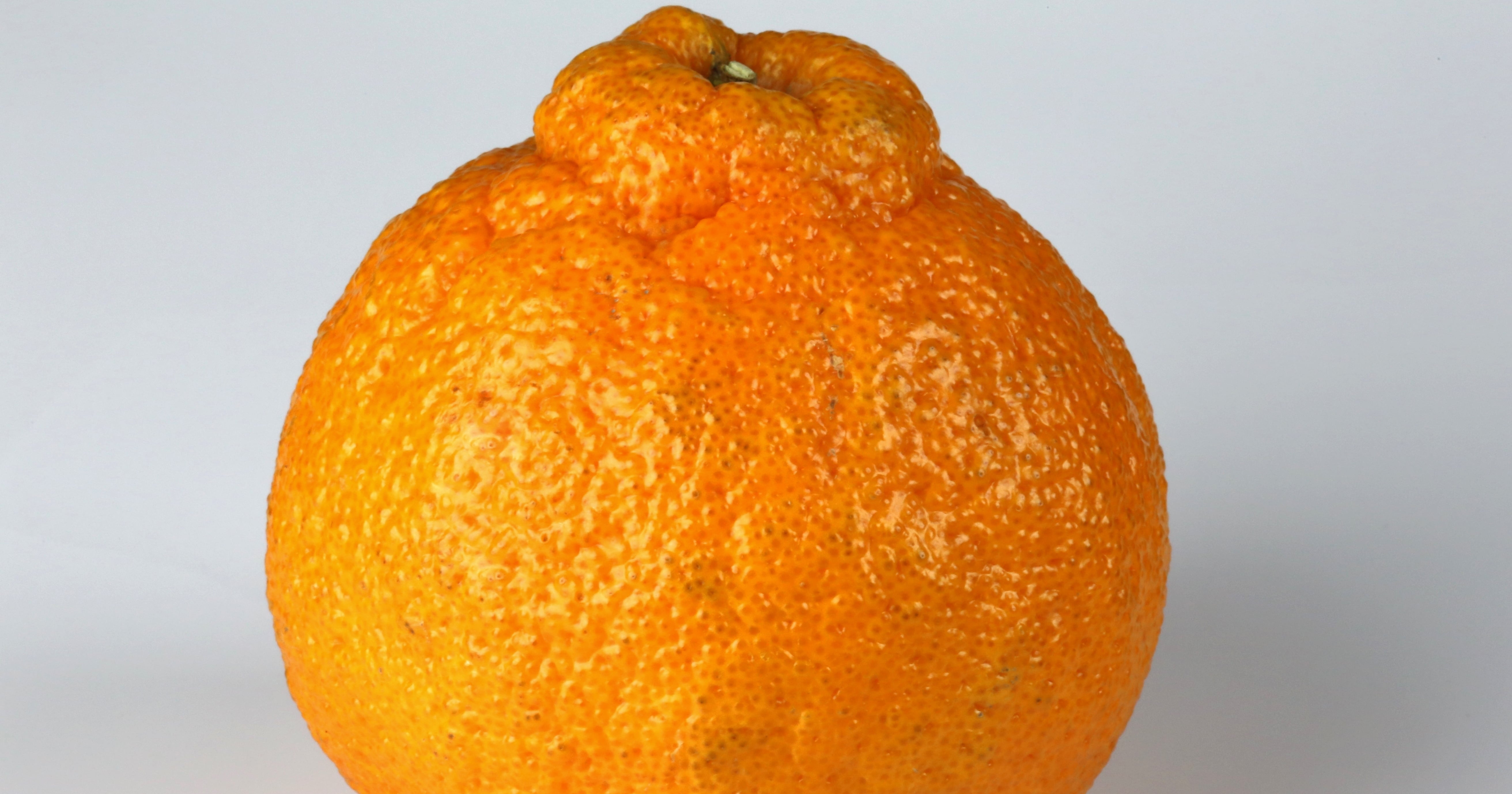 Sumo Oranges Are in Season Again, So Get Them While You Can | POPSUGAR Food