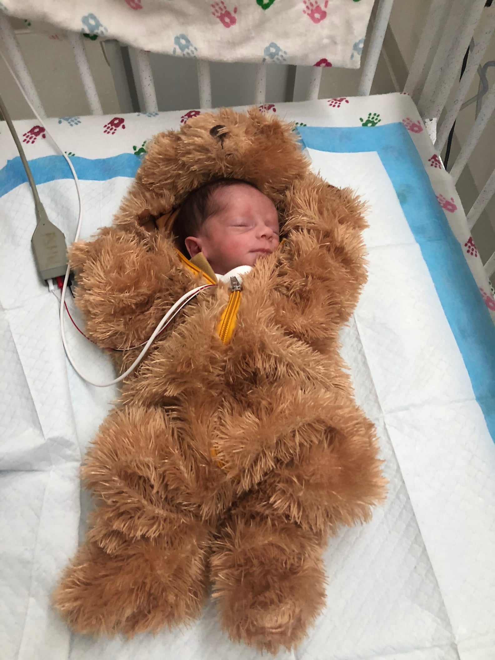 NICU Babies Dressed in Halloween Costumes 2018 | PS Family