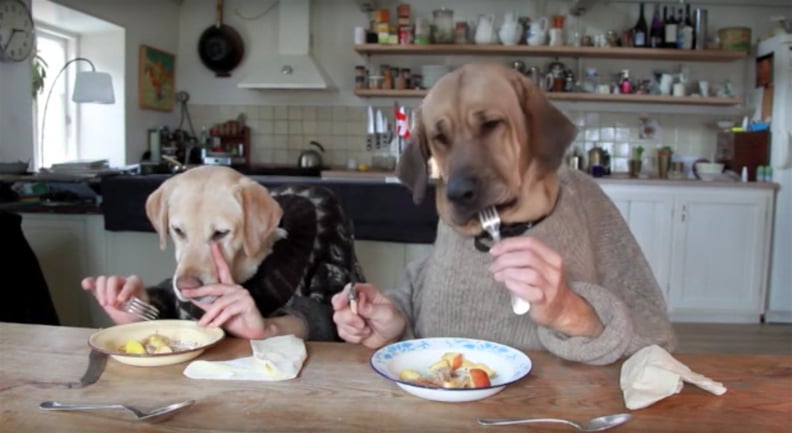 Dog Eating Breakfast