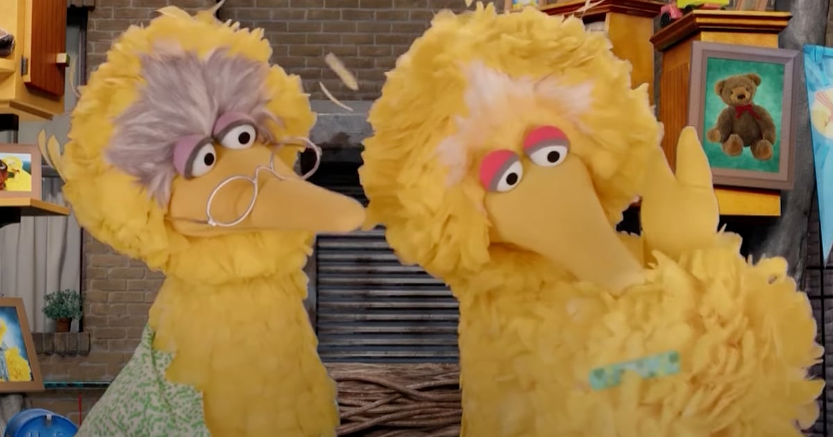 Sesame Street: Big Bird Gets the COVID-19 Vaccine Video | POPSUGAR Family