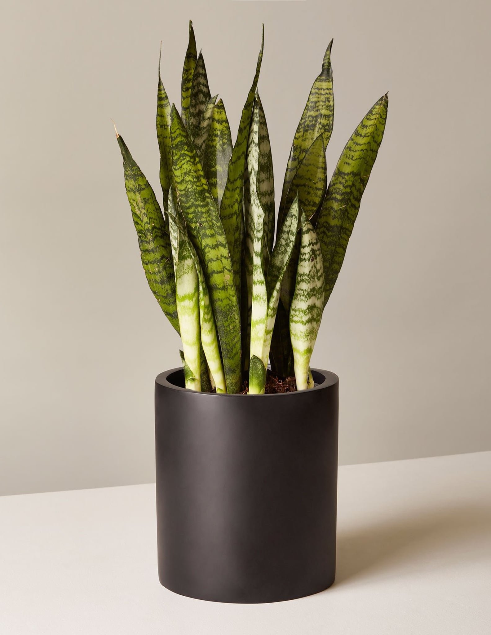 The Best Gifts For People Living With Their Parents | PS Smart Living