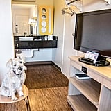 Pet-Friendly Vacations | POPSUGAR Pets