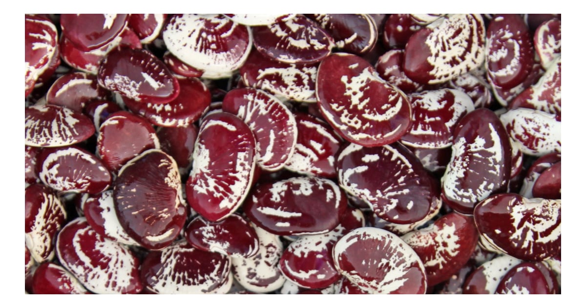 What Are Pulses? | POPSUGAR Food