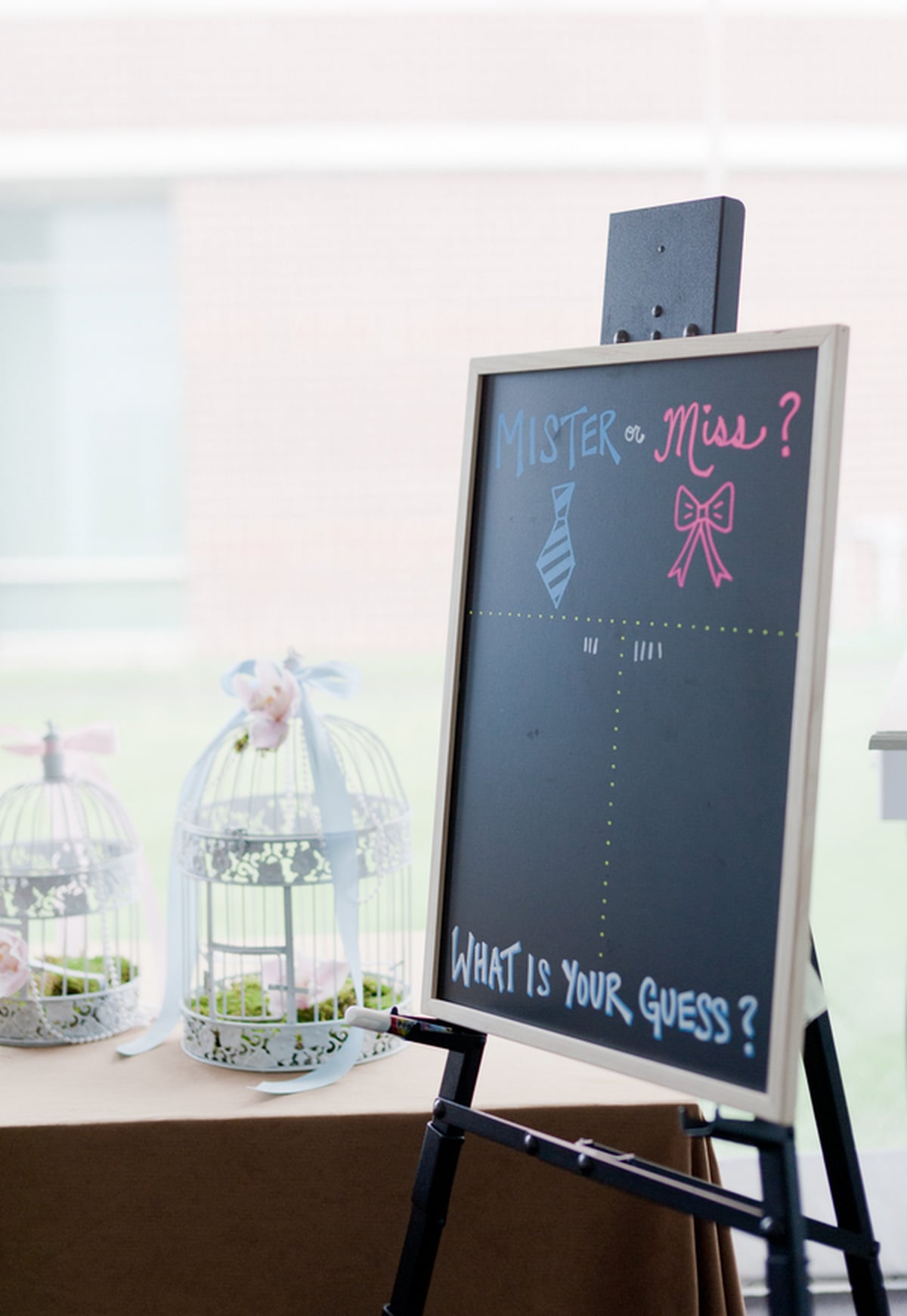 Creative Gender-Reveal Announcement Ideas | PS Family