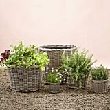 Best Outdoor Planters From Terrain | POPSUGAR Home