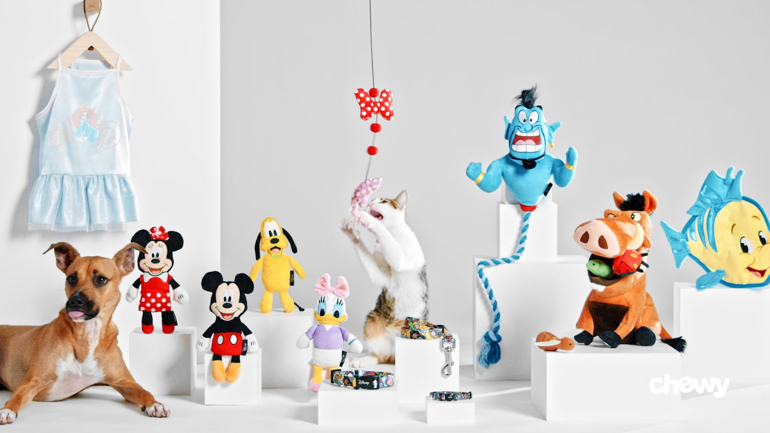 Chewy Disney, Pixar, Marvel, Star Wars Pet Products | PS Pets