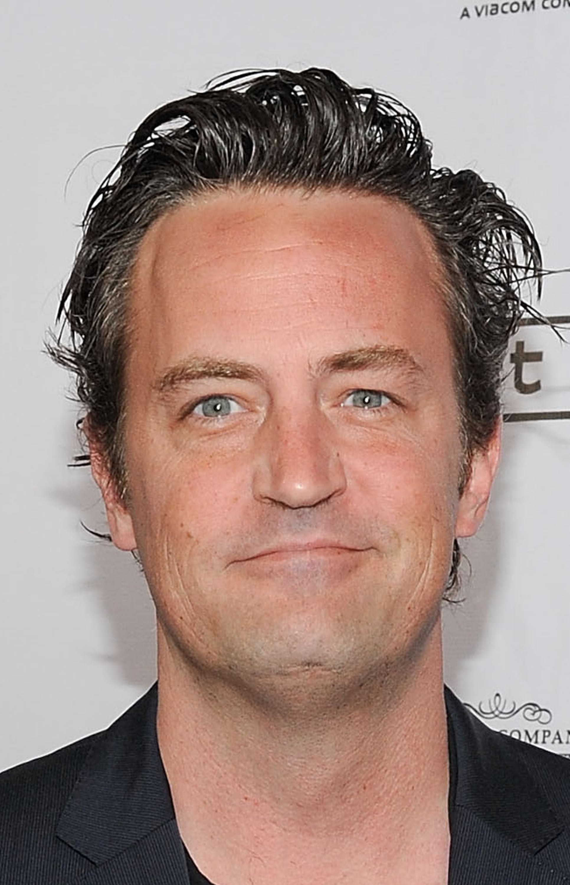 Matthew Perry and Molly Hurwitz Are Engaged | POPSUGAR Celebrity