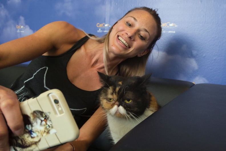 Cat Con LA 2016 Pictures | PS Pets