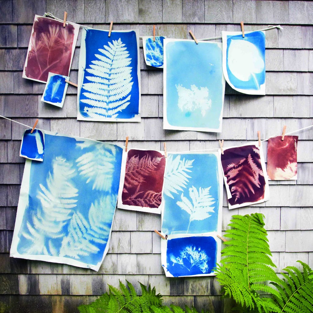 How To Make Sunprints POPSUGAR Family how-to-make-sunprints-popsugar-family