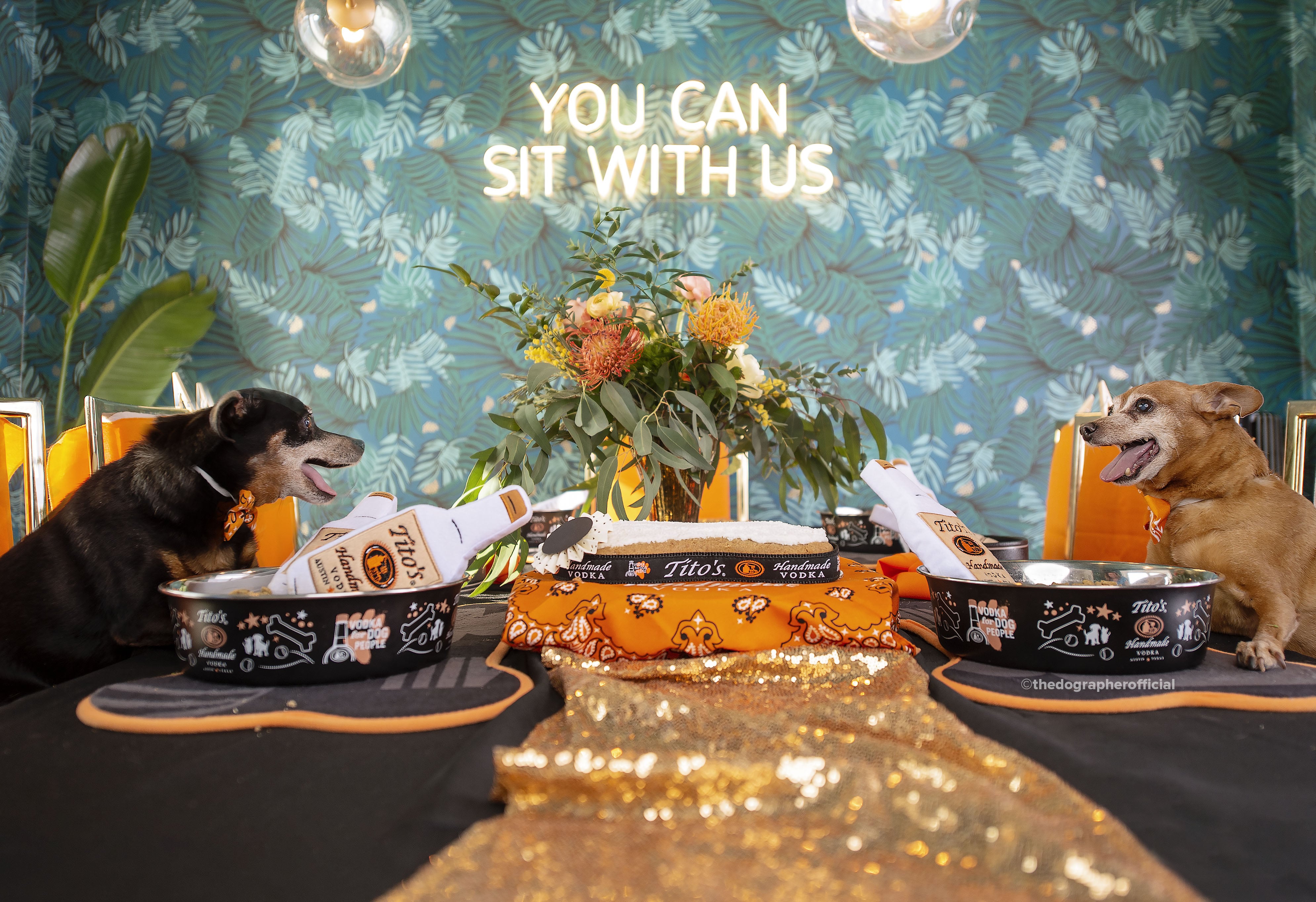 Photos of Dogs at a Fancy Dinner Party to Promote Adoption | PS Pets