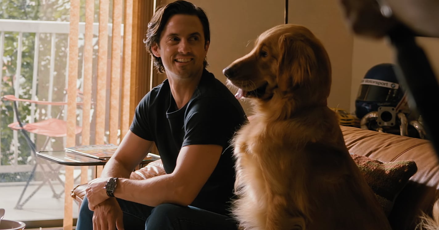 The Dogs in The Art of Racing in the Rain Movie Video | PS Entertainment
