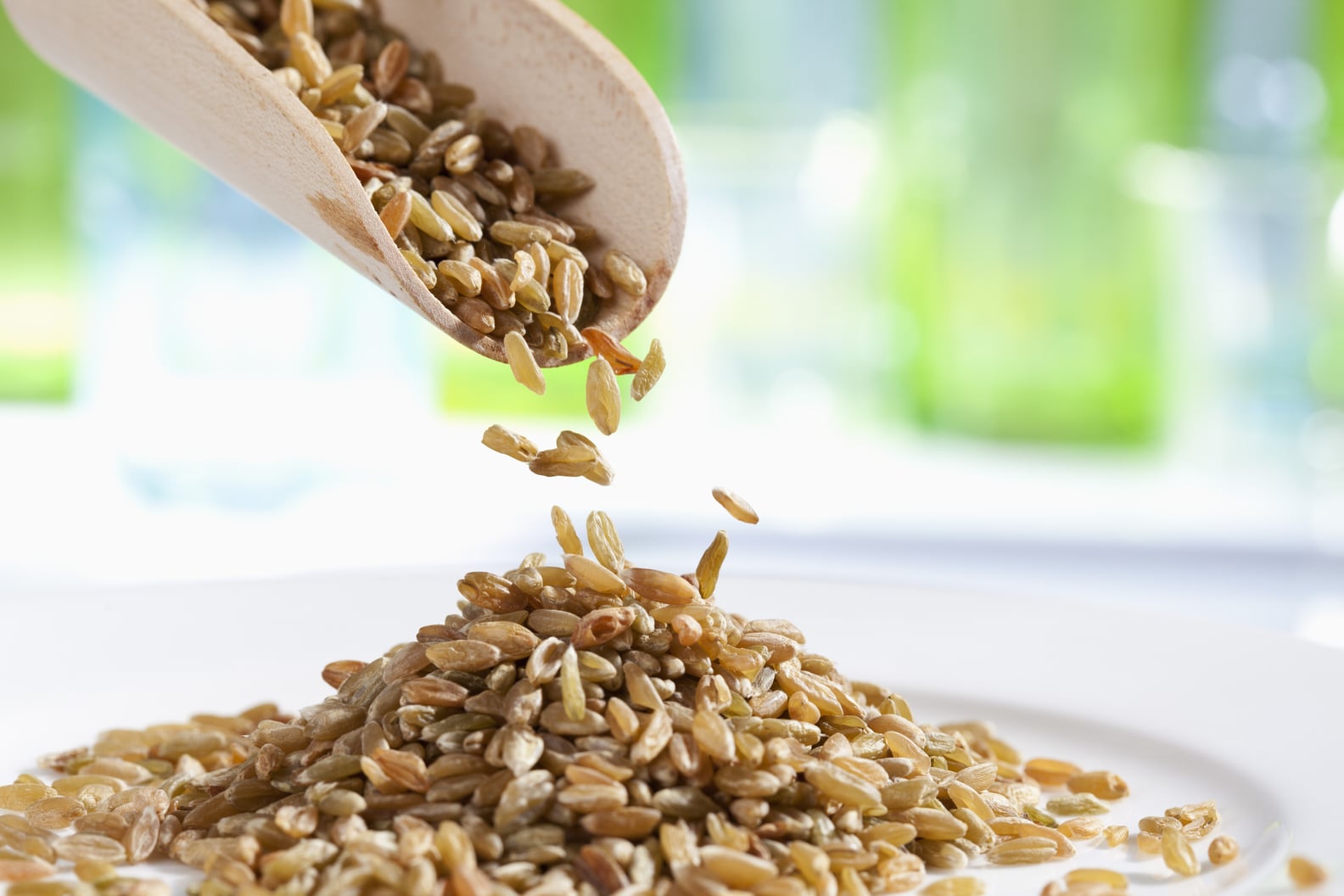 10 Highest-Protein Grains | PS Fitness
