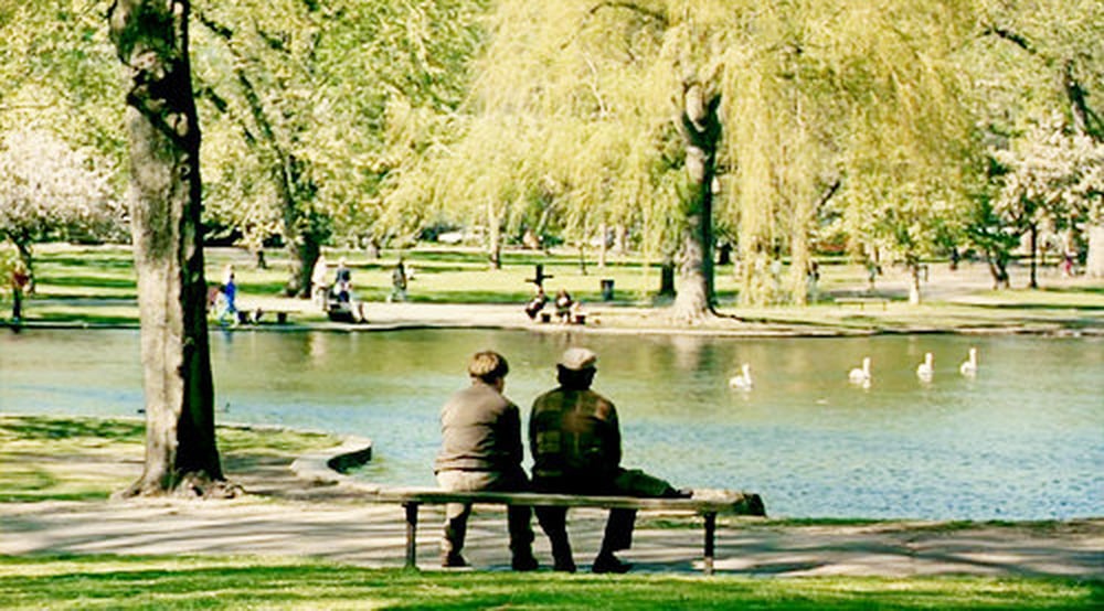 Fall Movie GIFs | PS Entertainment