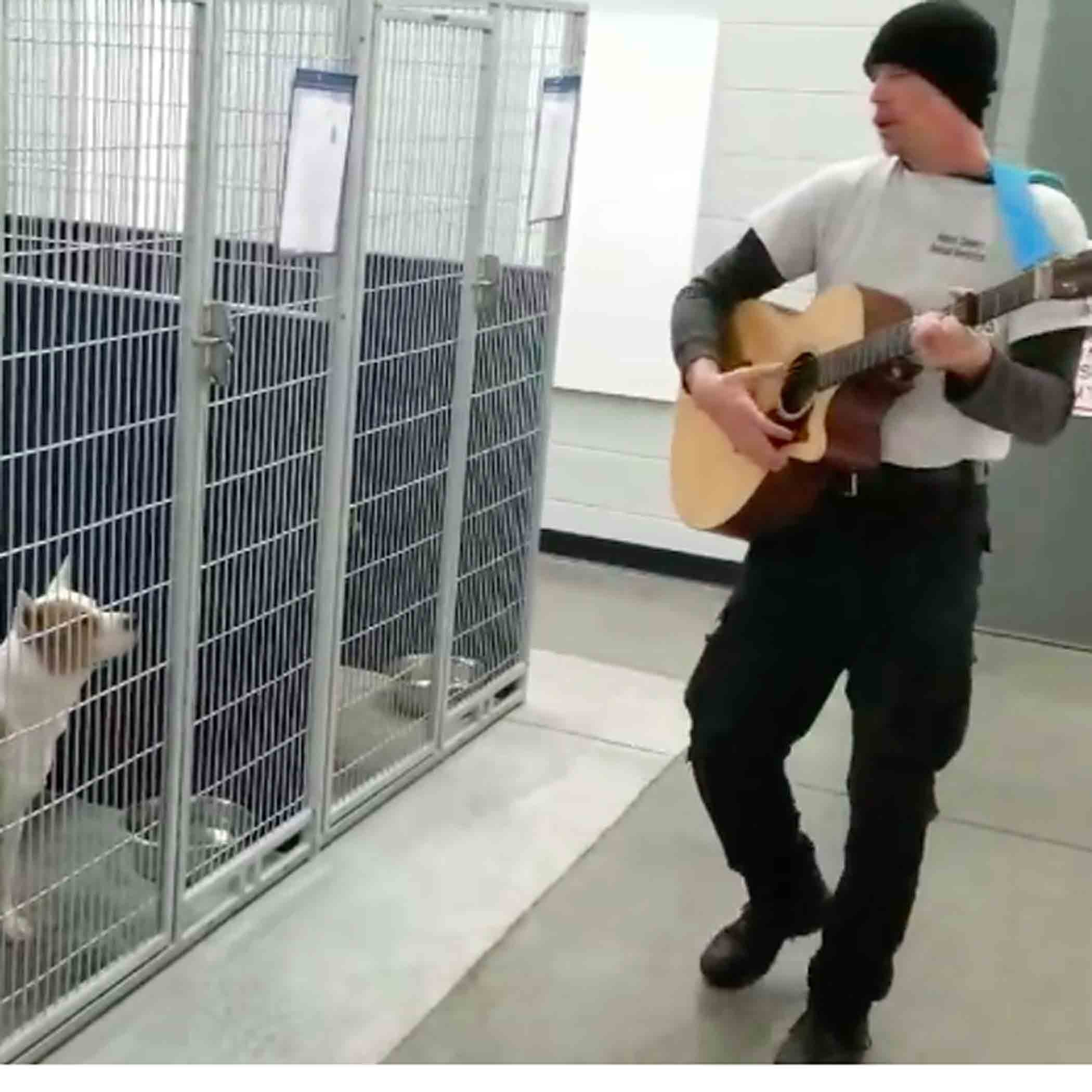 Man Sings to Dogs at Shelter | PS Family